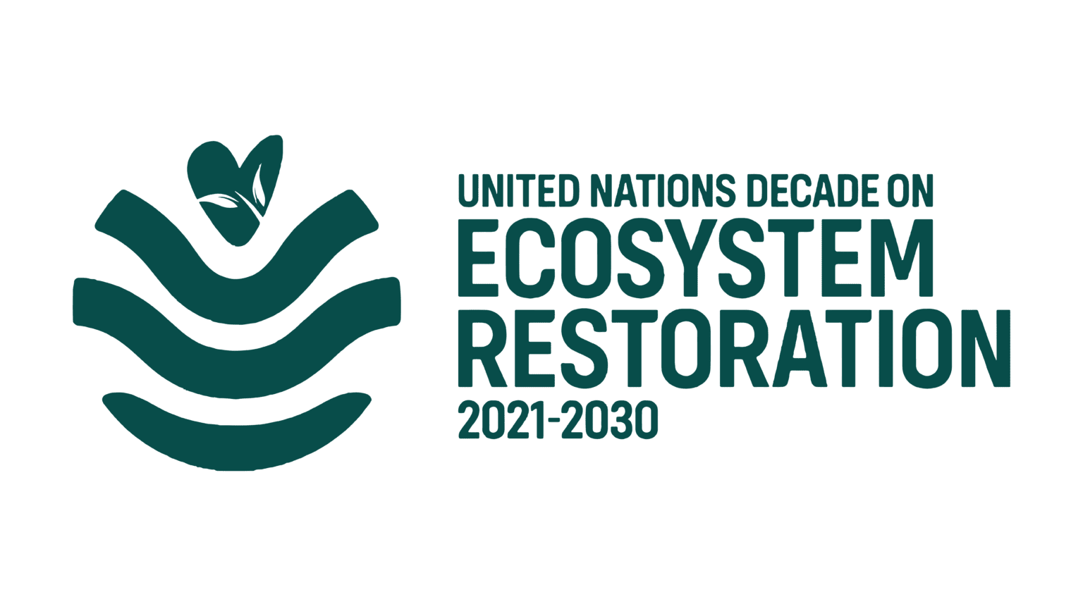 Go Forest - Planting trees with impact - Go Forest