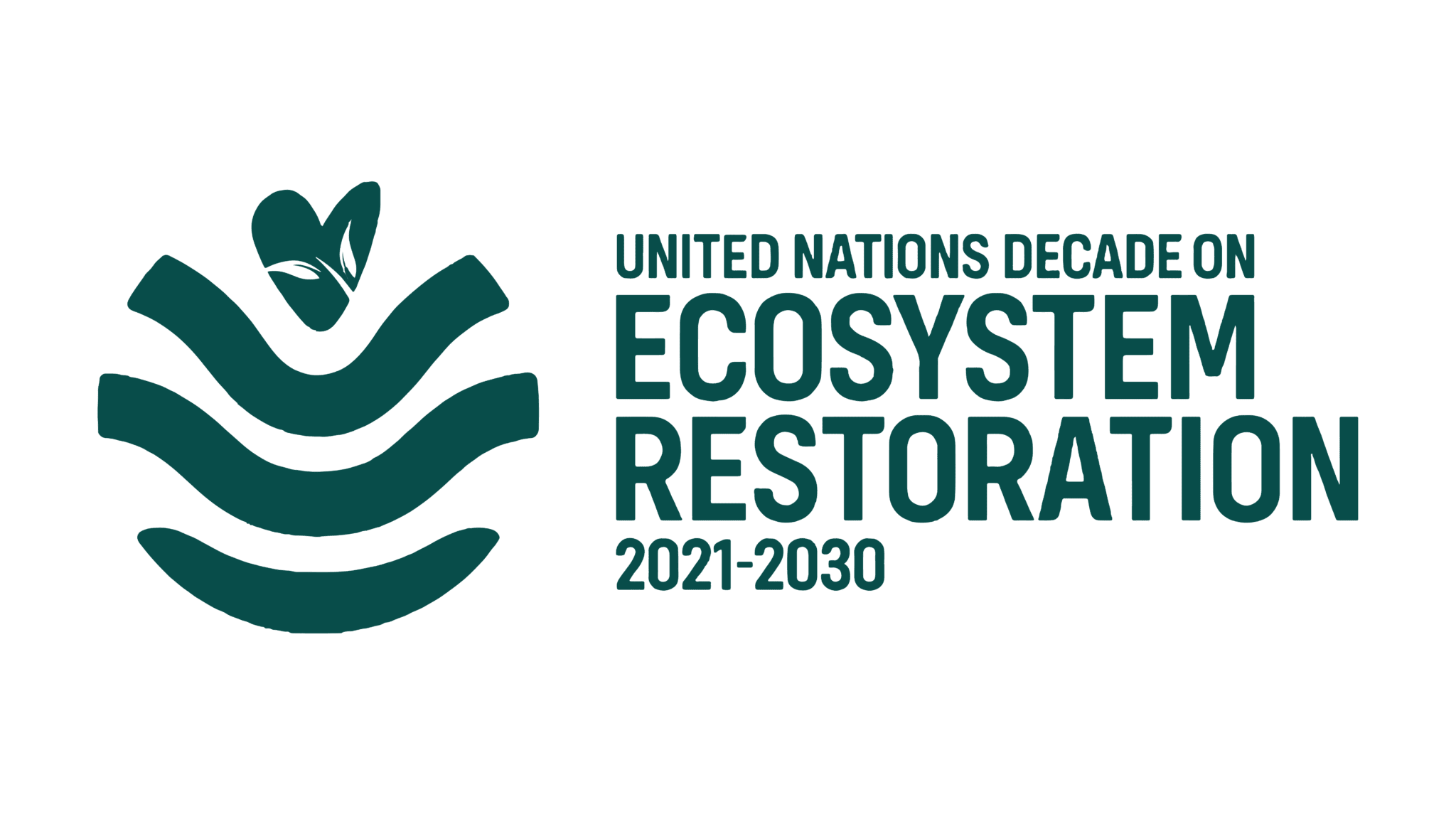 Go Forest - Planting trees with impact - Go Forest