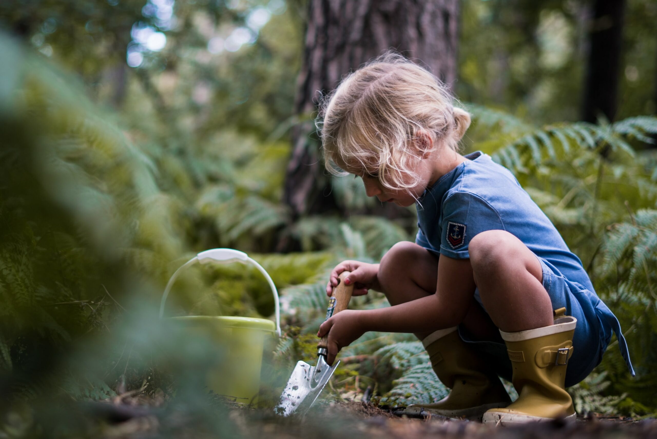 Privacy Policy - Go Forest