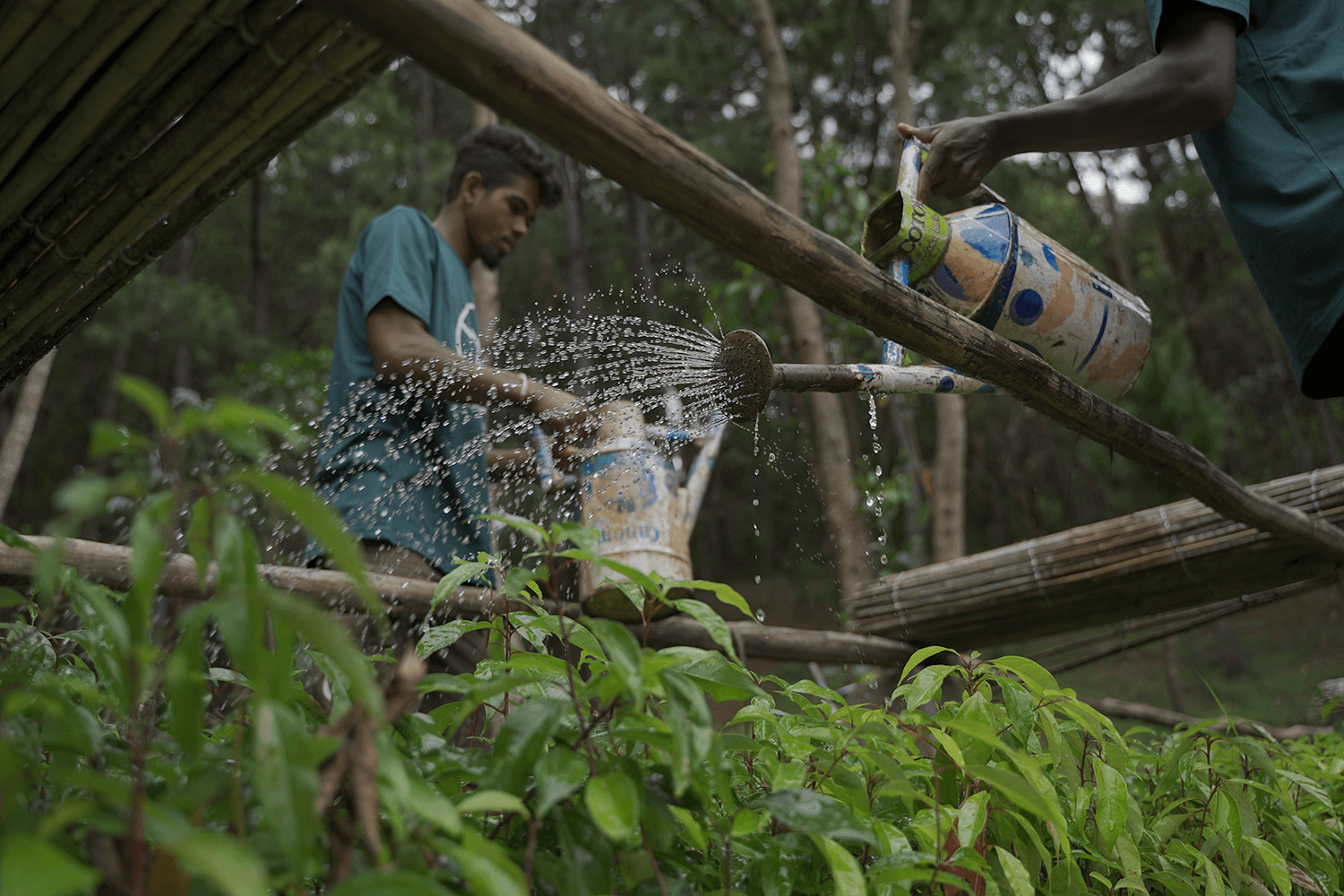 Wat is het verschil tussen klimaatprojecten die carbon credits ...