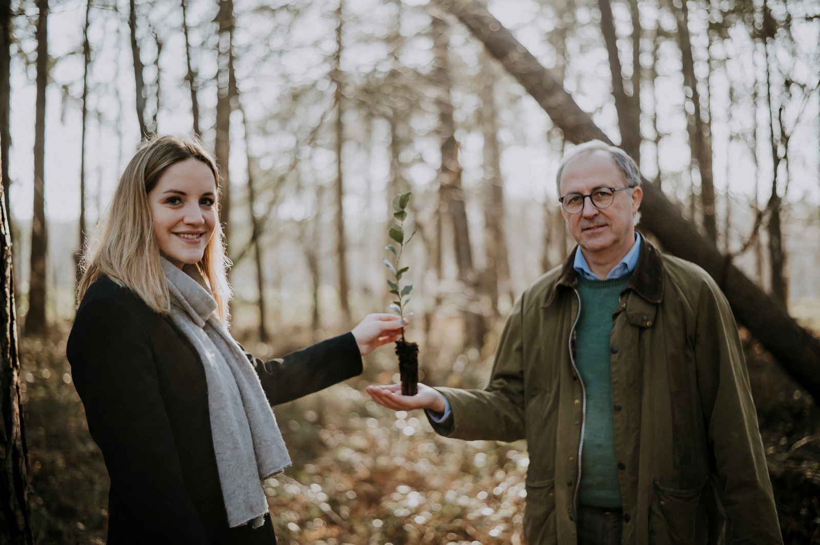 Go Forest - Planting trees with impact - Go Forest