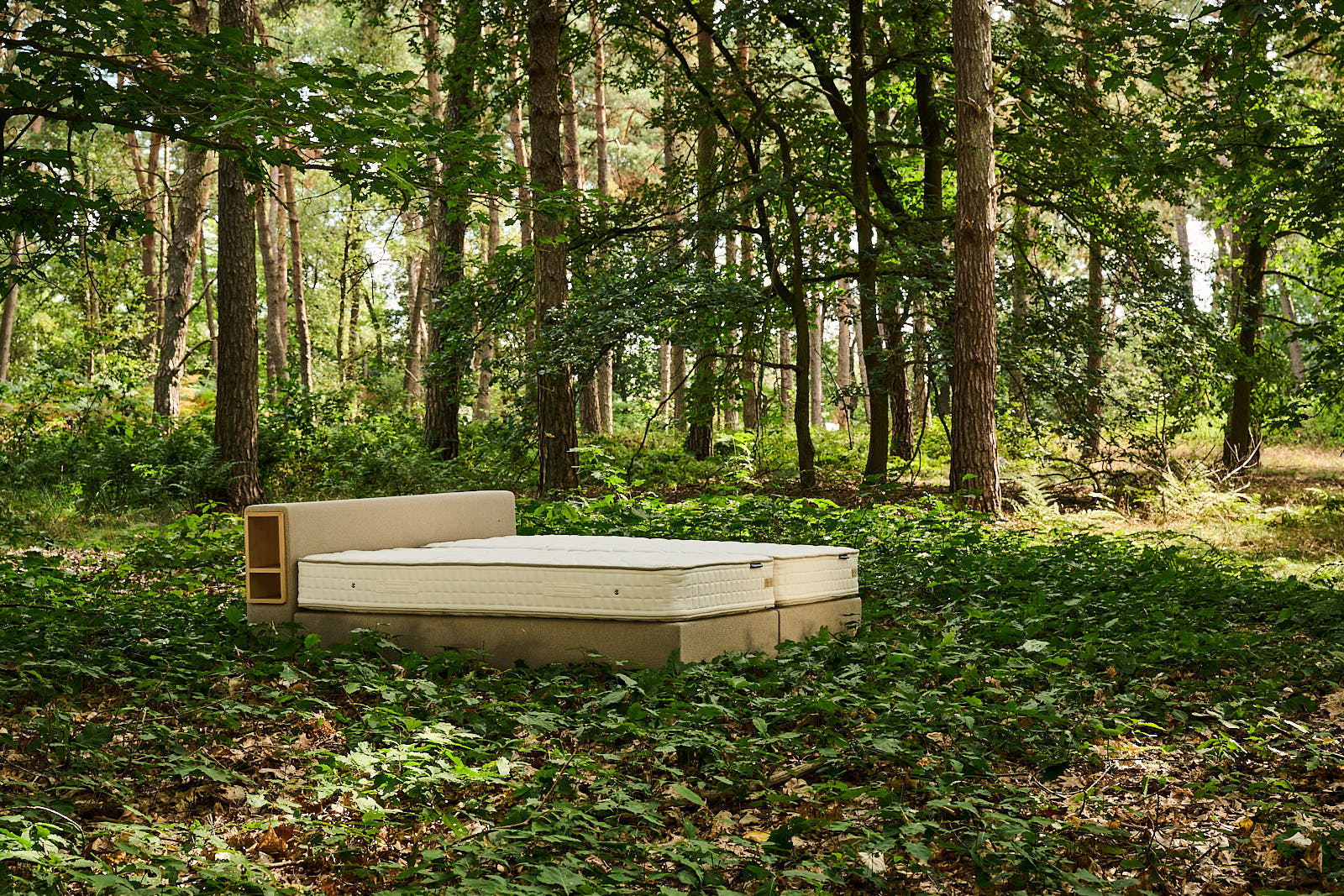 Recor Bedding - Go Forest