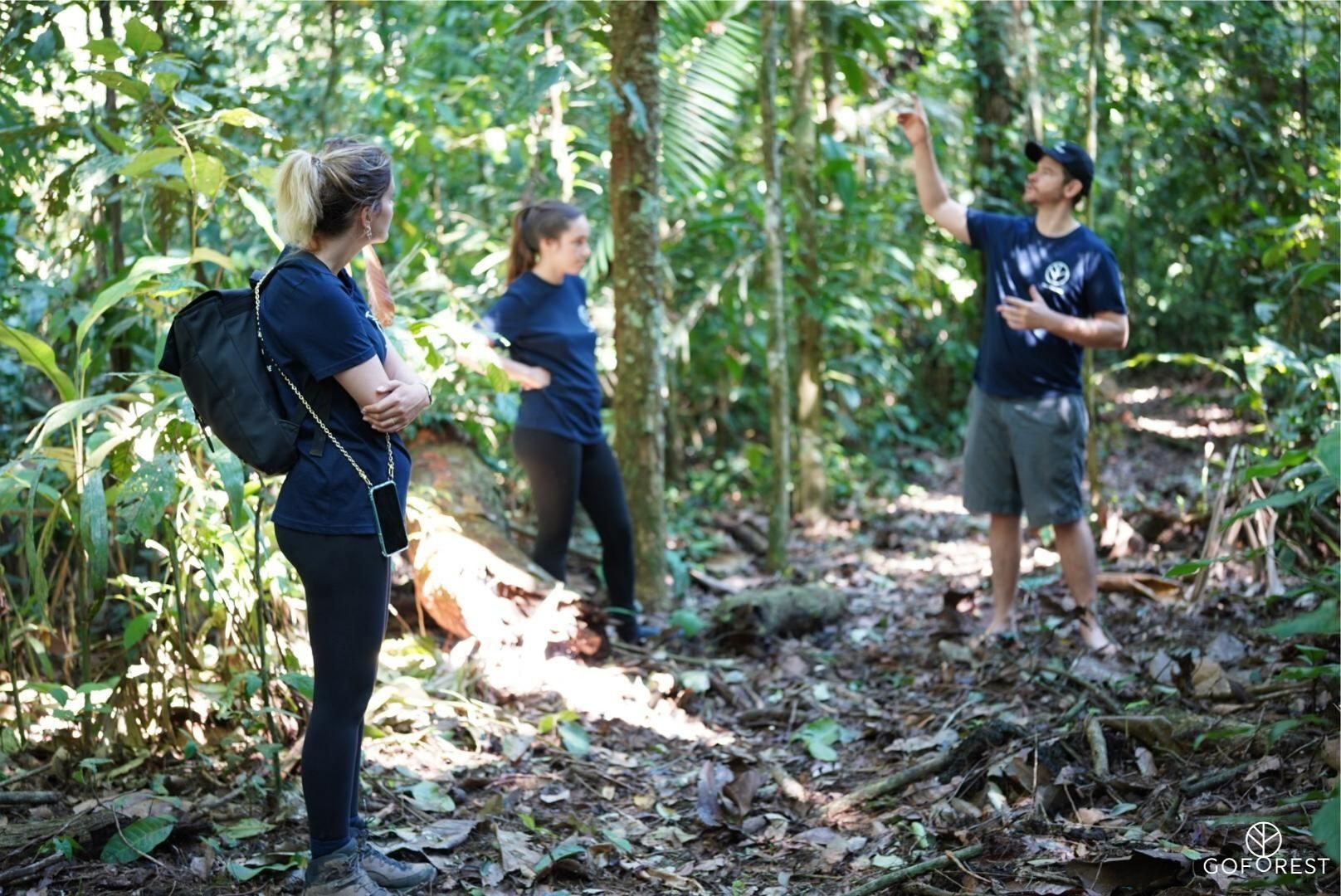 Let’s talk about tree planting in the Amazon Rainforest! - Go Forest