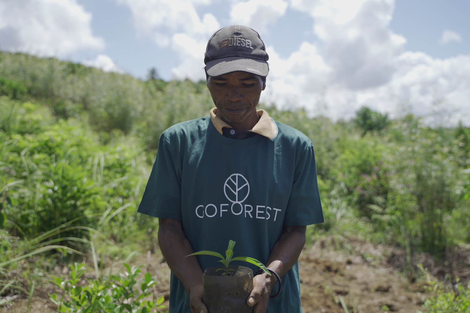 Go Forest - Planting trees with impact - Go Forest