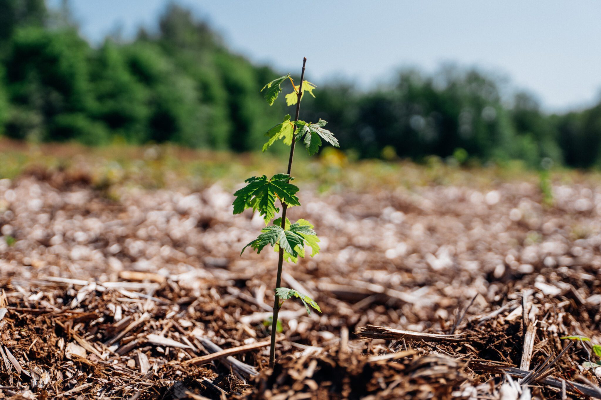 Why partnering with private landowners is a smart choice for corporate ...