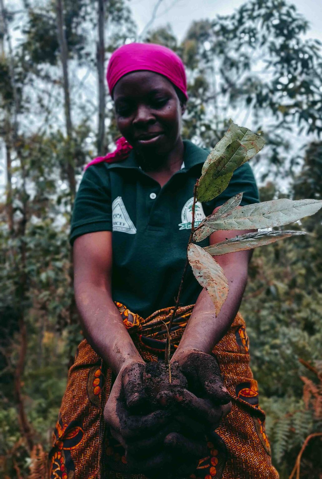 Go Forest - Planting trees with impact - Go Forest