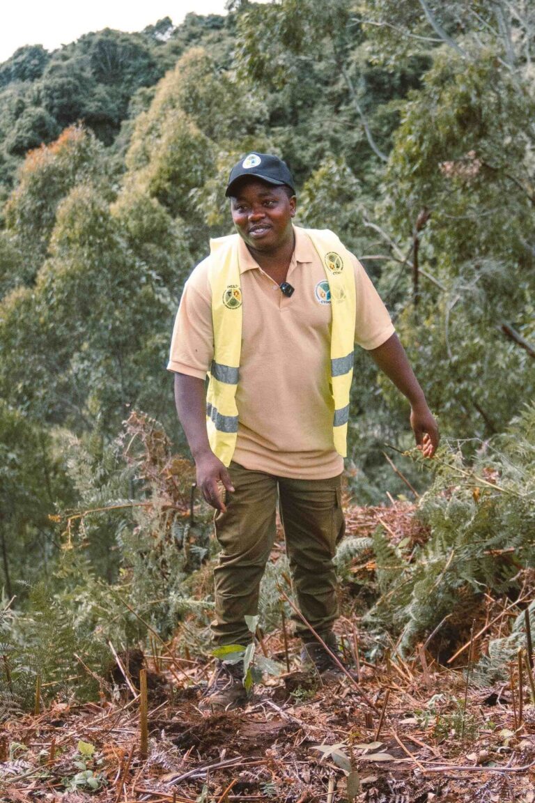 Over ons - Go Forest