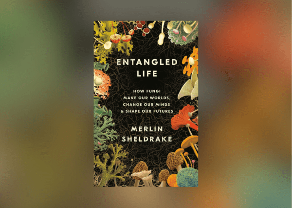 Book review: Entangled Life by Merlin Sheldrake - Go Forest