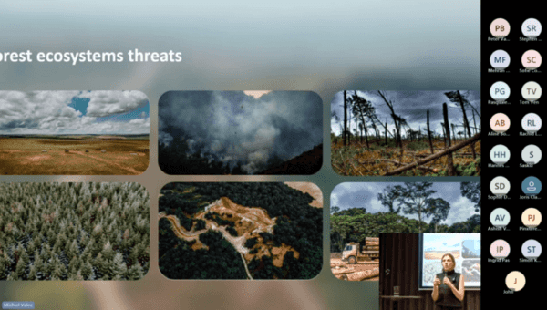 Presenting Go Forest & Go Ocean at Dockflow | Go Forest