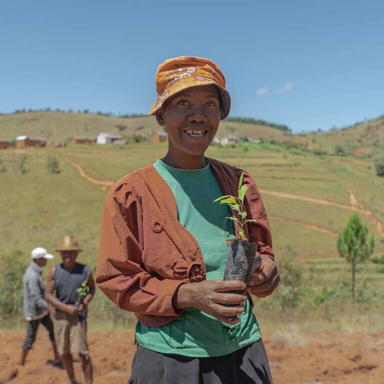 Go Forest - Planting trees with impact - Go Forest