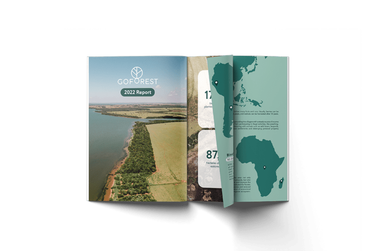 Over ons - Go Forest